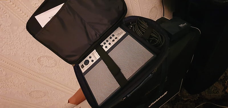 AXL THINamp DSP 10 Portable Amplifier | Reverb UK