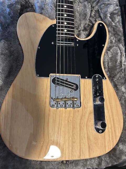Fender Professional Telecaster 2018 w/Joe Barden Pups | Reverb