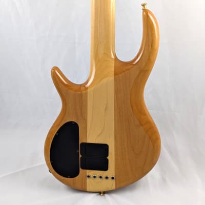 CARVIN USA IC5 Icon 5-String Bass Guitar w/Case - AAA Flame | Reverb