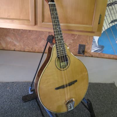 Beard Celtic Mandolin | Reverb