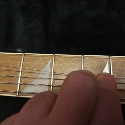 Jackson USA Custom Shop RR1 Randy Rhoads Bengal Tiger 1 of 1 | Reverb