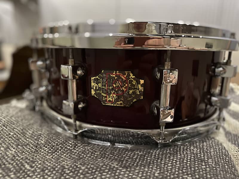 Premier Signia Maple 14x5 snare | Reverb