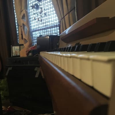 1967 Fender Rhodes Student Model jetsons fishtail | Reverb