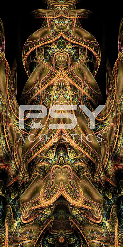 "Dragon Lair 01" by Johnathan Singer - 244 Portrait Acoustic | Reverb