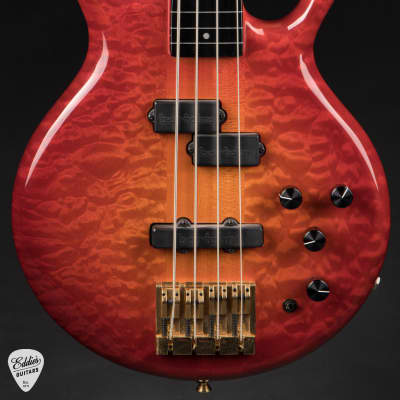 Pedulla MVP Buzz Fretless - Cherry Sunburst (2003) | Reverb