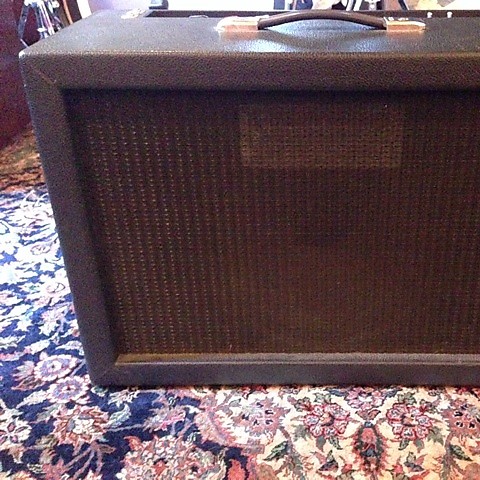 Alessandro Working Dog - Rottweiler | Reverb