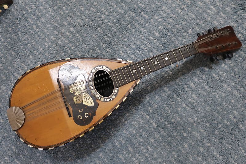 Vintage 1900s Washburn Mandolin Bowlback Project Butterfly | Reverb