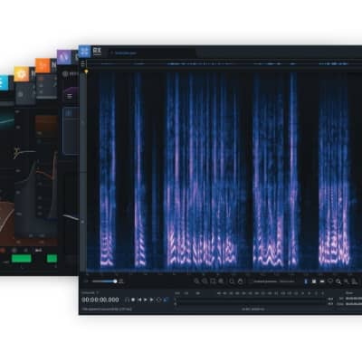 iZotope RX Post Production Suite 4 - Software Bundle (Upgrade | Reverb