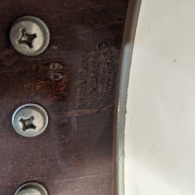 1960's - Vega - SS-5 Folklore - "Pete Seeger Style" Long Neck | Reverb