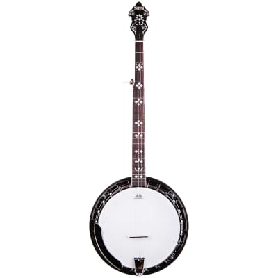 Recording King RK-R20 Songster 5-String Tone Ring Banjo | Reverb