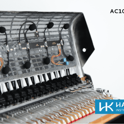 Harmonik AC1001 DUAL Accordion Amplification System | Reverb