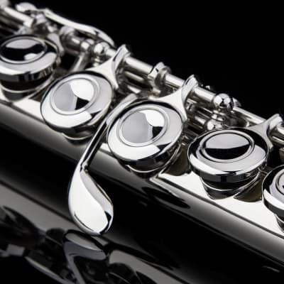 Closed Hole C Flute With Case, Tuning Rod and Cloth, Gloves, | Reverb