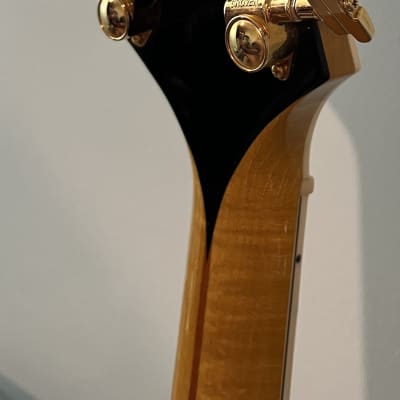 2008 J Triggs Archtop in Vintage Yellow w/OHSC! | Reverb