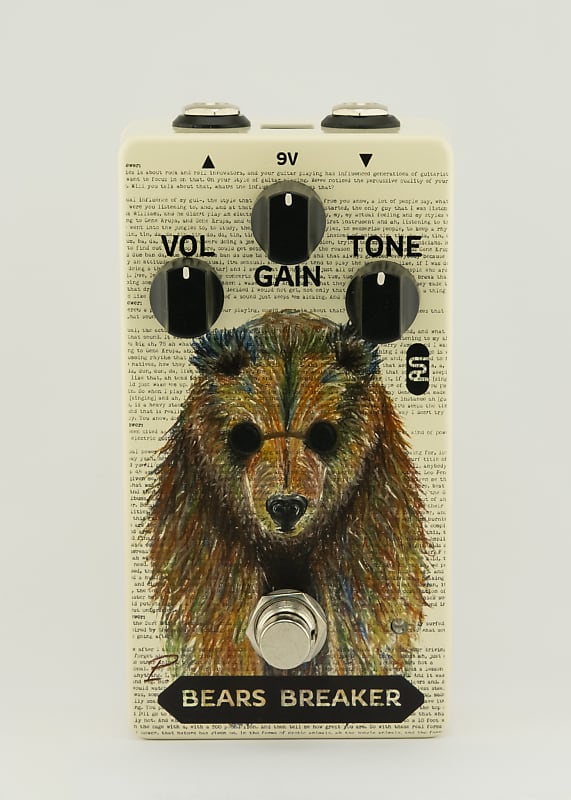 Savoy Amp - Bears Breaker | Reverb