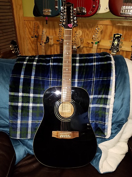 NEW YORK PRO 12 STRING ACOUSTIC | Reverb