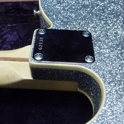 Telecaster Custom Silver Sparkle , Don Rich , Buck Owens | Reverb