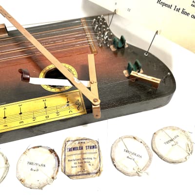 Electric Vintage Hawaiian Tremoloa circuitbent zither | Reverb