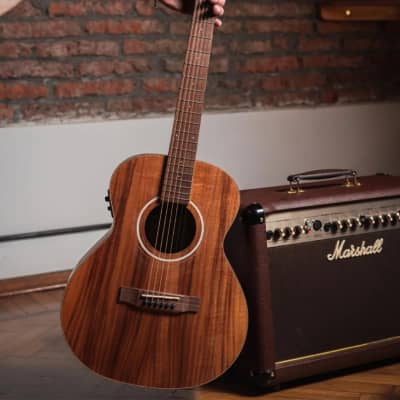 Bamboo Koa Vision Acoustic Electric Guitar *USA Small | Reverb