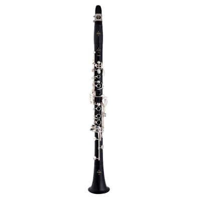 Buffet Crampon BC-20 Professional Wood Clarinet | Reverb