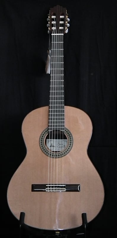 Paco Castillo original Spanish Guitars Mod. 204 Classic 2019 | Reverb