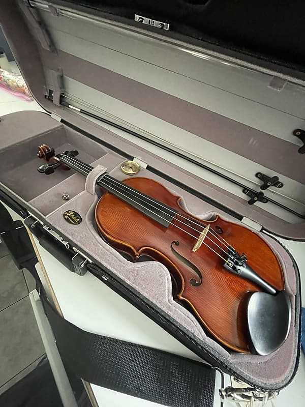 4/4 Snow Violin SV200 With Temp Controlled Case | Reverb