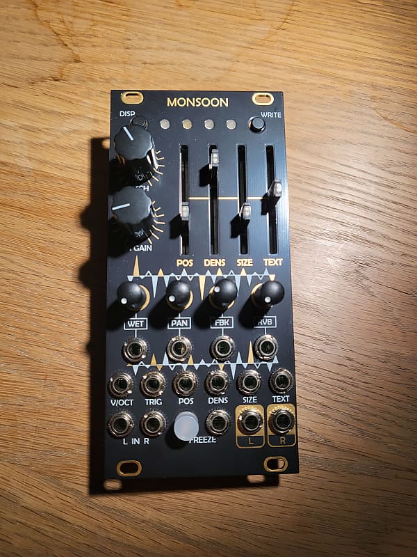 After Later Audio Monsoon (Mutable Instruments Clouds Clone) | Reverb