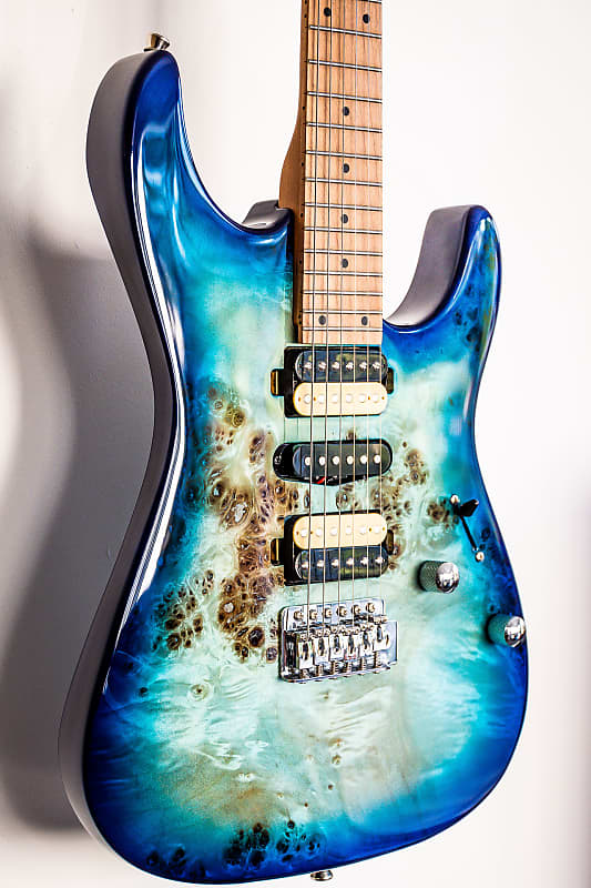 Bacchus Imperial 24 Roasted Maple Burl Poplar Blue | Reverb