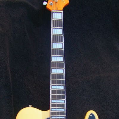 Sublime Guitars Tomcat Deluxe 2020 With Bigsby | Reverb