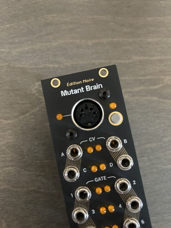 Hexinverter Mutant Brain | Reverb