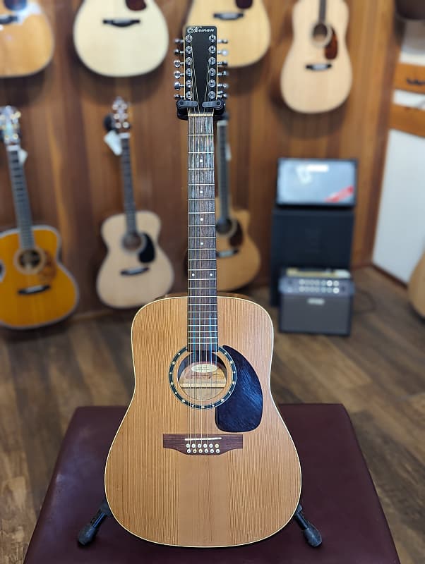 Norman Protégé B18 Cedar 12 String Acoustic Guitar w/Case | Reverb