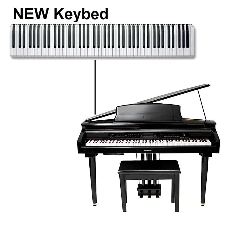 Suzuki MDG-300 Keybed | Reverb