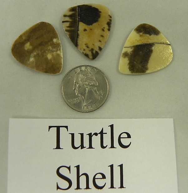 Guitar Pick Turtle Shell closest thing to Tortoise that is | Reverb