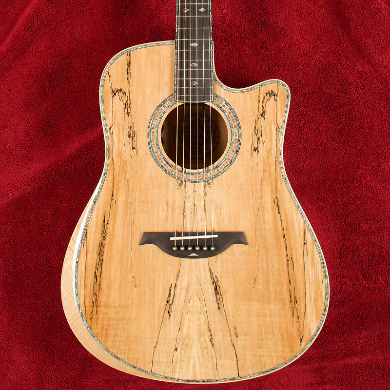 B.C. Rich Acoustic Cutaway 6 -String - Spalted Maple - | Reverb