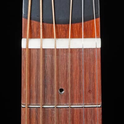 Iris DE-11 Dan Erlewine Signature Model Sunburst | Reverb