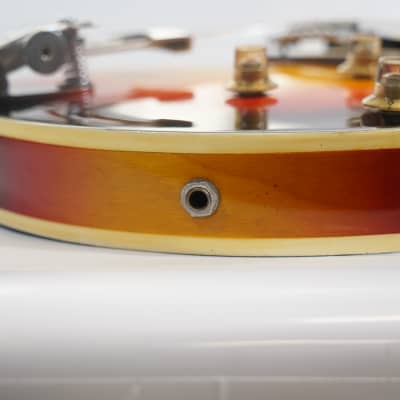 Vintage 1960's MaxiTone Bruno (Matsumoku) hollow body | Reverb