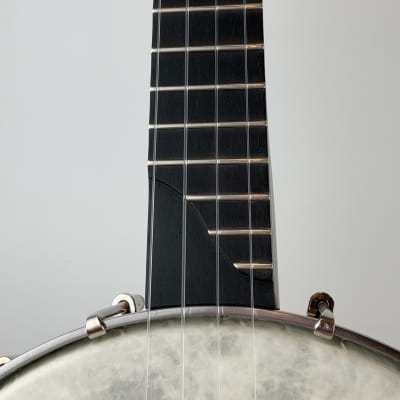 Songbird Stringed Instruments Model 20C Custom USA Luthier | Reverb