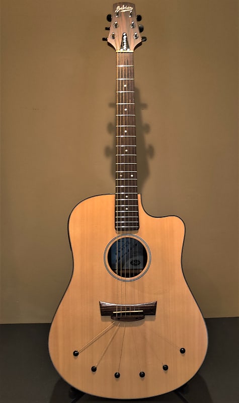 Babicz Identity Acoustic Electric Guitar/Custom Case | Reverb