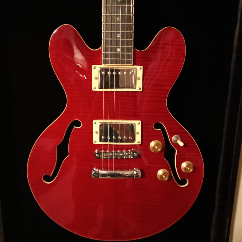 Wolf Wolf WA TM Semi HollowTrans Wine Red Semi Hollow | Reverb