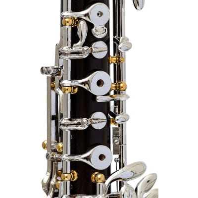 Fossati Professional S Oboe Regular | Reverb