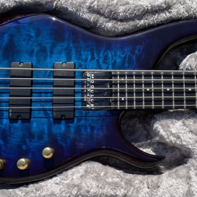 Modulus Quantum 5 5-String Bass Guitar, Q5, Graphite Neck | Reverb