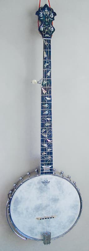 R C Allen 5 string banjo 1975 gold | Reverb