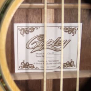 COPLEY CA-50 Acoustic Guitar | Reverb