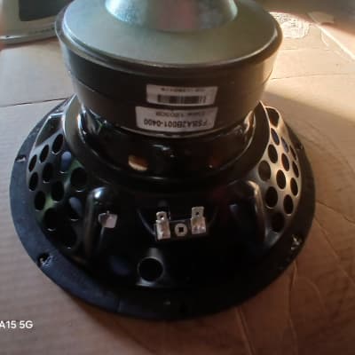 10" SUBWOOFER SDS 10 BOB CARVER MODEL | Reverb