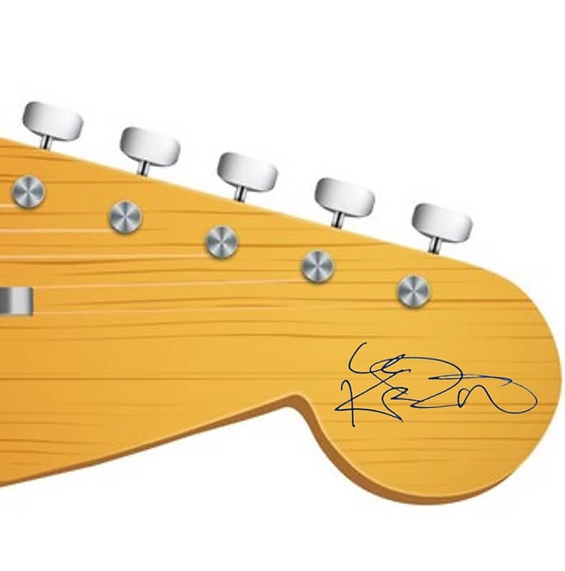 Sticker Vinyl Black Autograph Lenny Kravitz Guitar Vinyl | Reverb UK