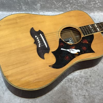 Vintage Alvarez 5024 MIJ acoustic guitar | Reverb