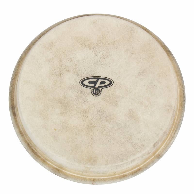 Latin Percussion CP663A Replacement Small Bongo Head- 6 3/4” | Reverb
