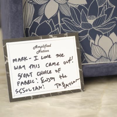 Amplified Nation Steel String Sultan Head and Cabinet 2023 | Reverb