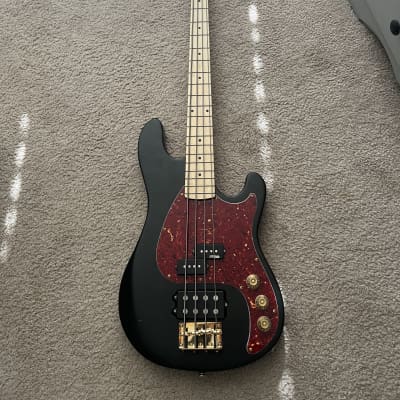 Waterstone Sam Hill 2-string bass 2022 Matte Black | Reverb