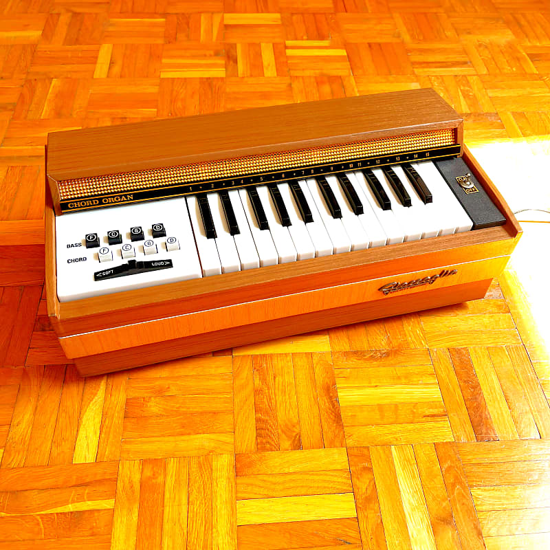 Super Rare Giaccaglia Chord/Reed Organ (Italy, 1960s) – | Reverb UK
