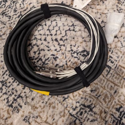 Neutrik TRS to D-Sub 25' Snake 2020-2023 | Reverb